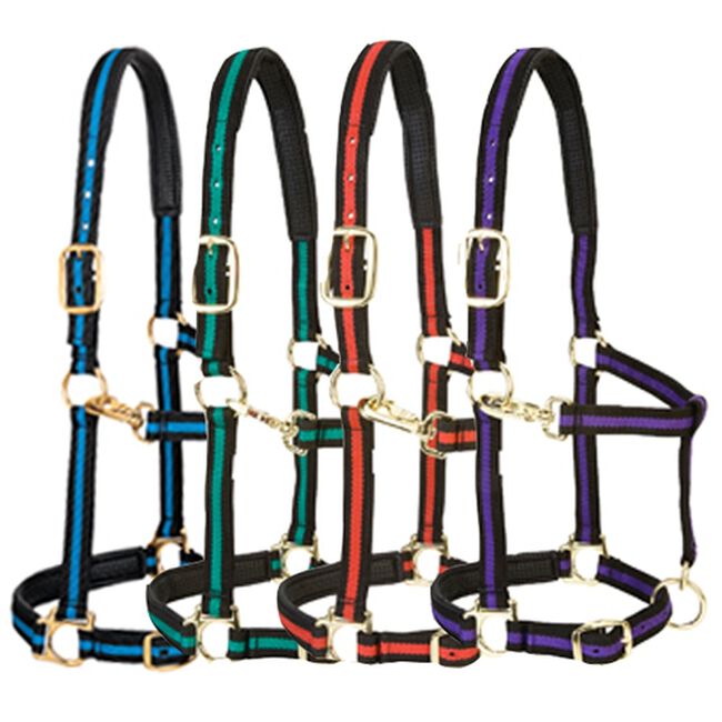 Weaver Padded Adjustable Halter– Farmhouse 208